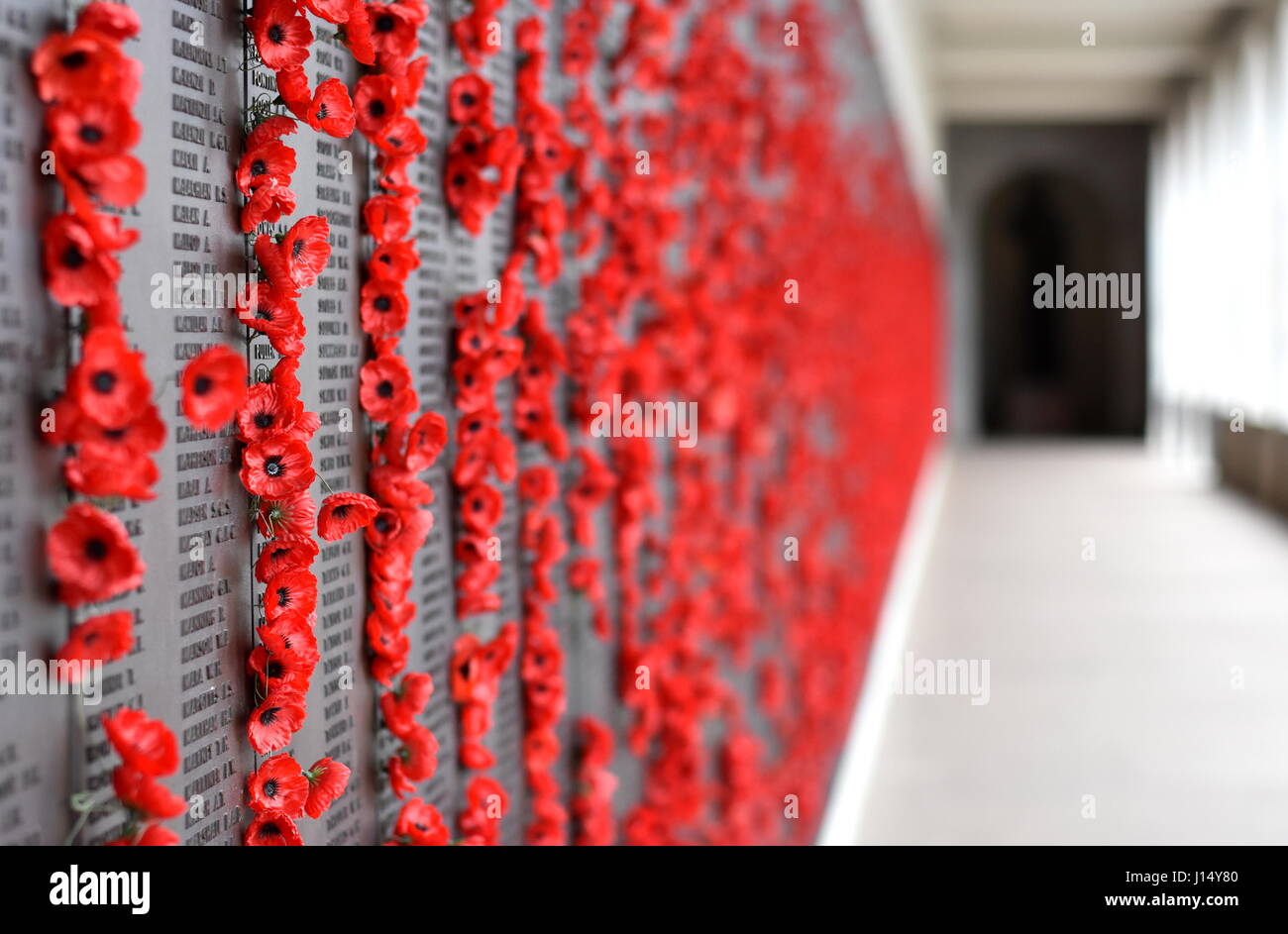 Canberra, Australia - March 18, 2017. Poppy wall lists the names of all ...
