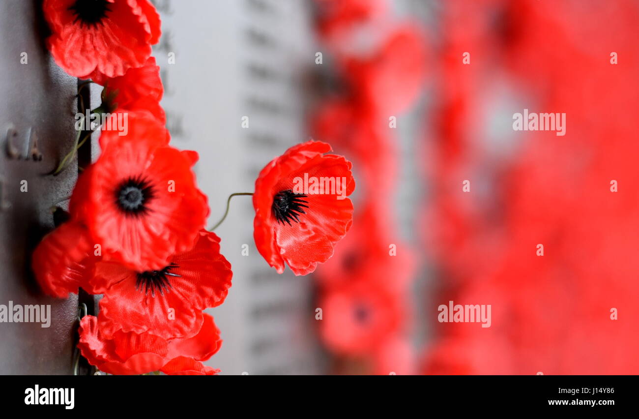 Canberra, Australia - March 18, 2017. Poppy wall lists the names of all ...