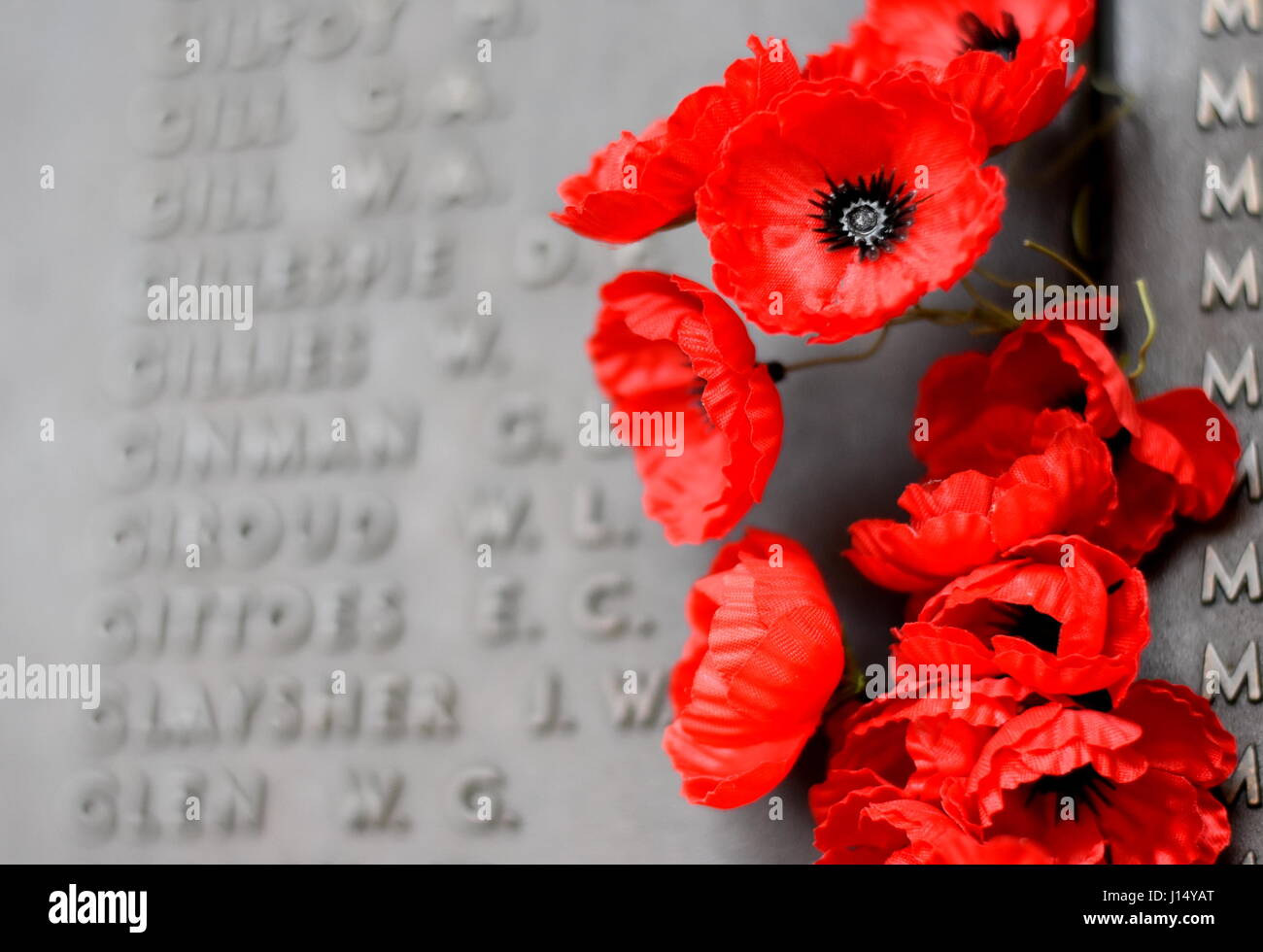 Australian soldiers in vietnam war hi-res stock photography and images ...