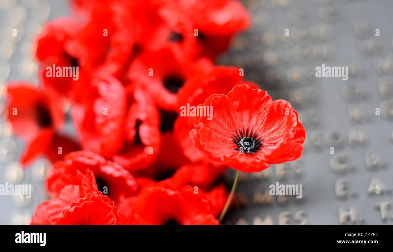 Canberra, Australia - March 18, 2017. Poppy wall lists the names of all ...