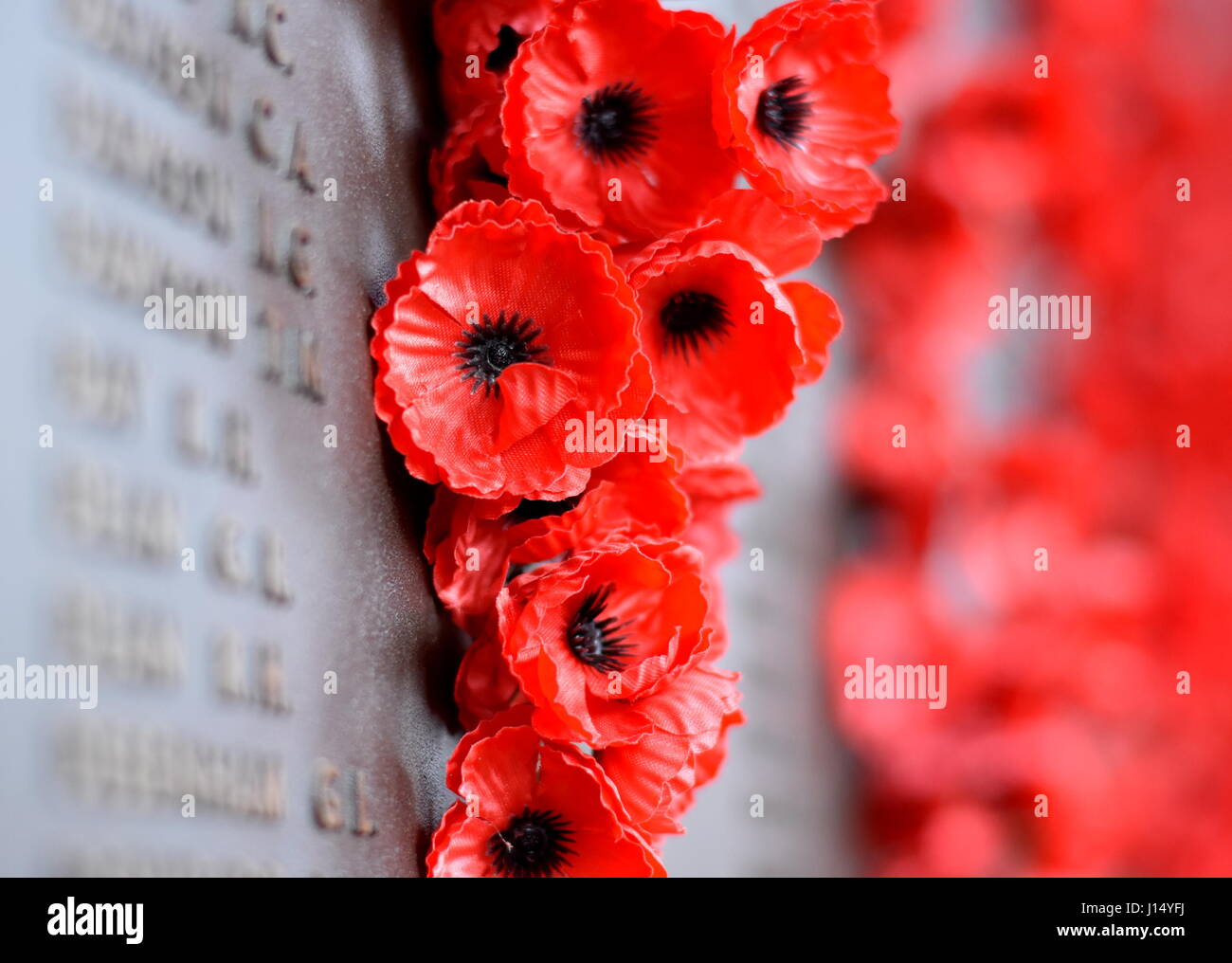 Canberra, Australia - March 18, 2017. Poppy wall lists the names of all ...