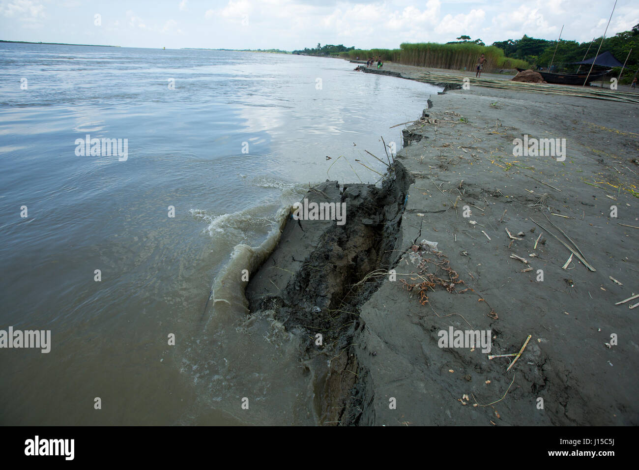 Riverbank damages due to river erosion from the Padma River at Dohar in ...