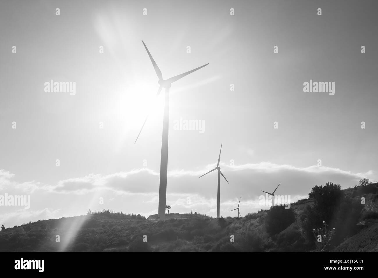 Wind turbines generating electricity - energy conservation concept ...