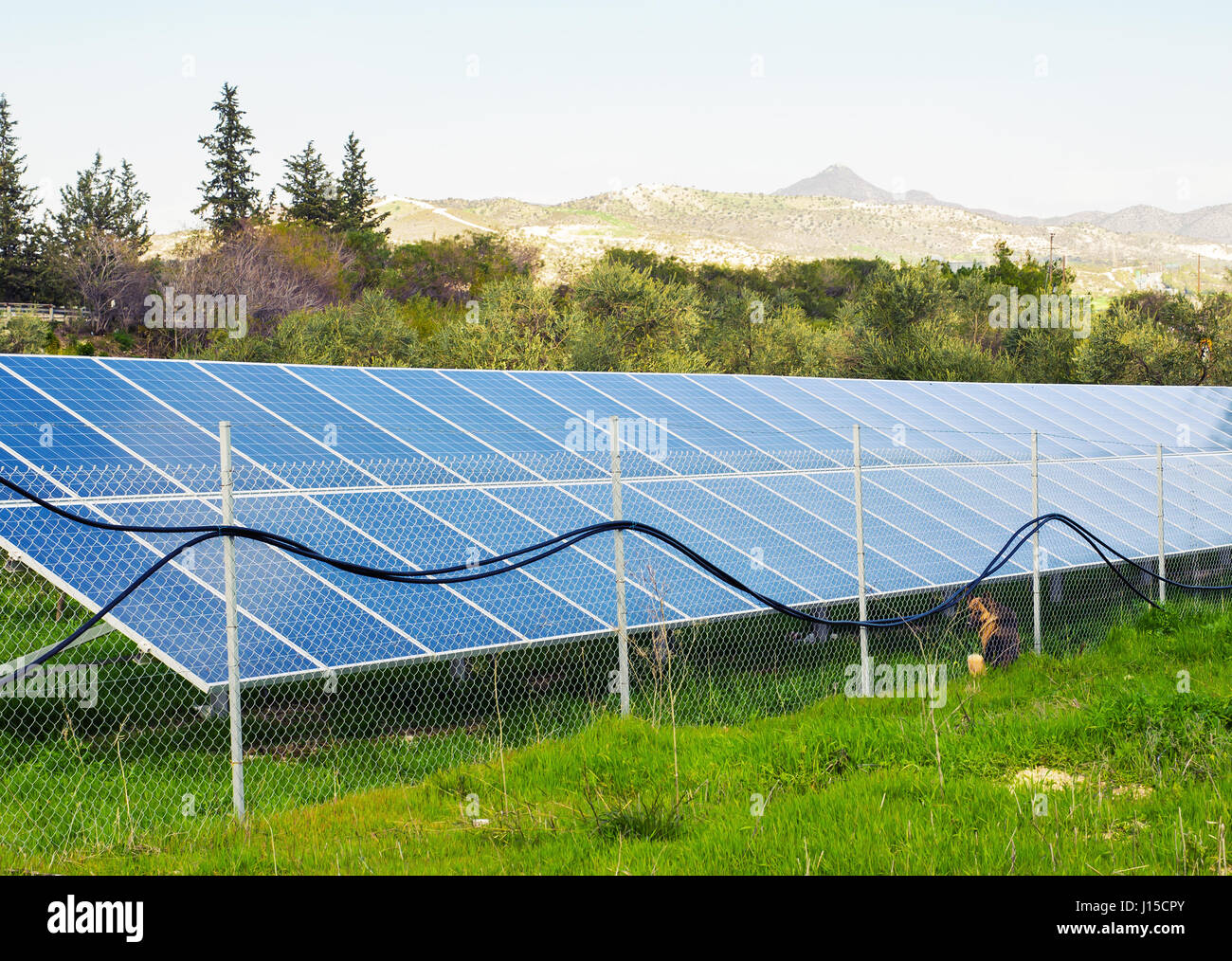 Solar panels placed on a countryside meadow Stock Photo - Alamy