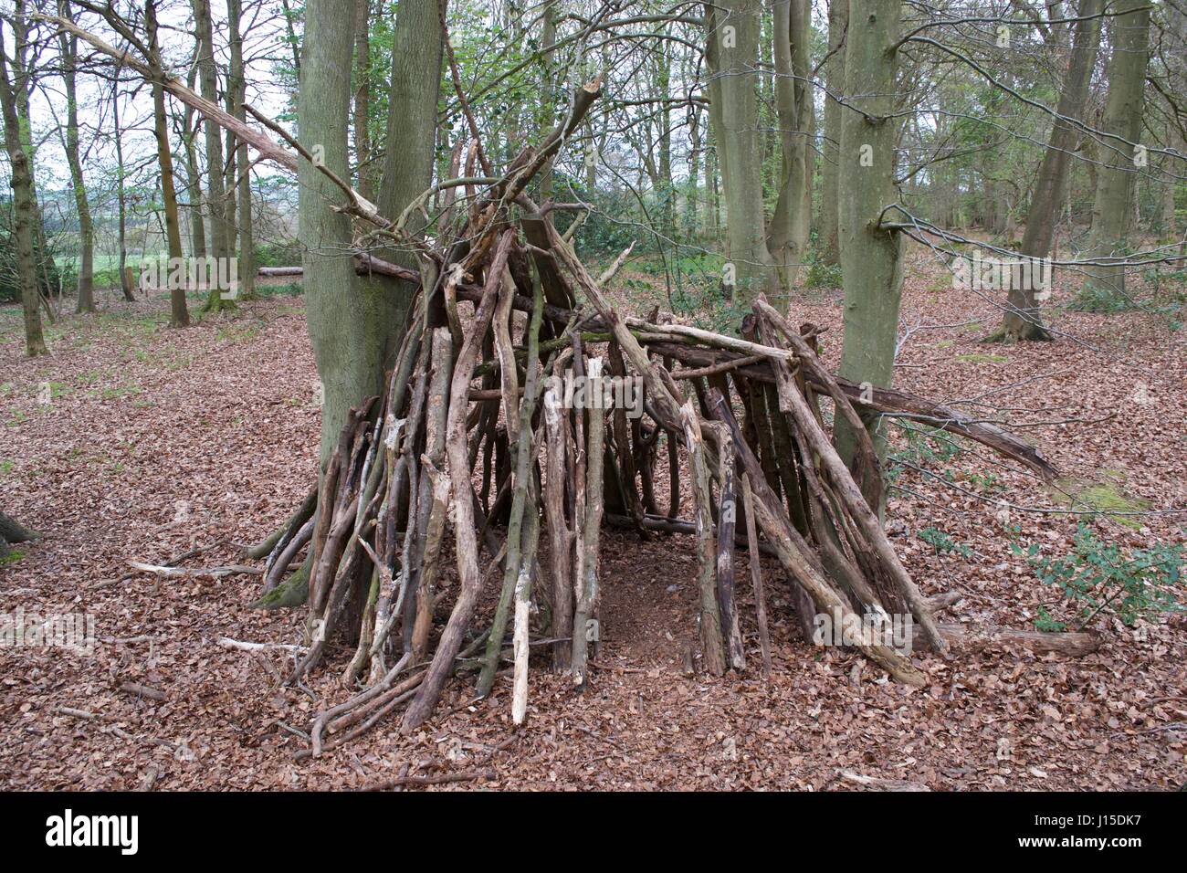 Den wood hi-res stock photography and images - Alamy