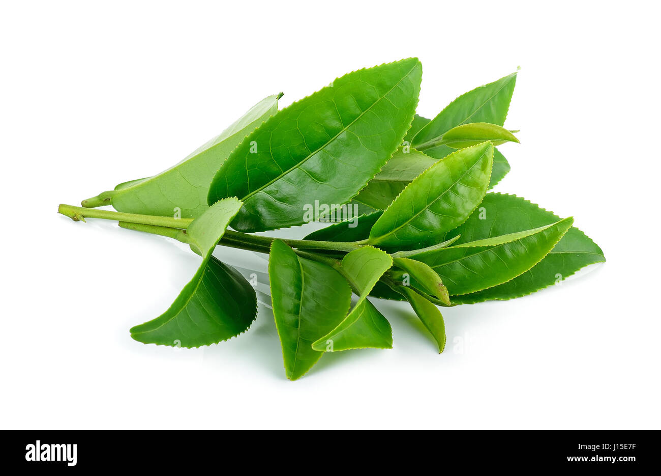 Tea leaves isolated on the white background Stock Photo - Alamy