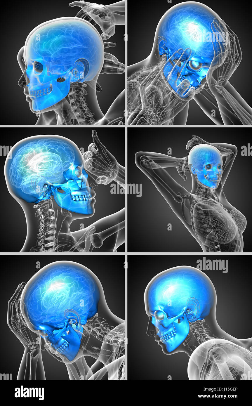 3d rendering medical illustration of the skull Stock Photo - Alamy