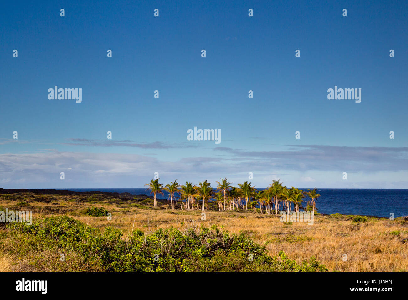 Hawaii volcanoes hi-res stock photography and images - Alamy