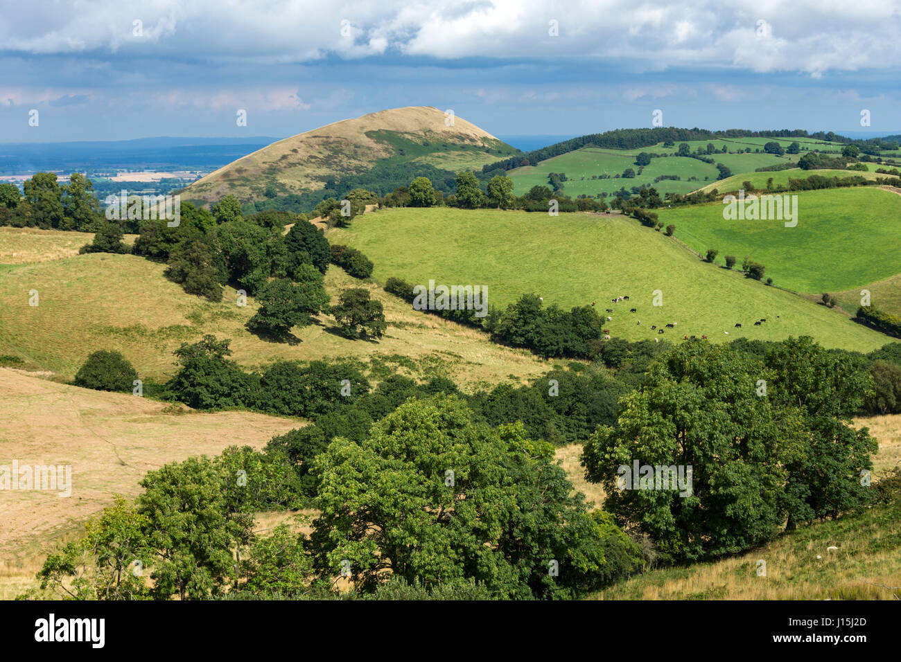 Trees hills hi-res stock photography and images - Alamy