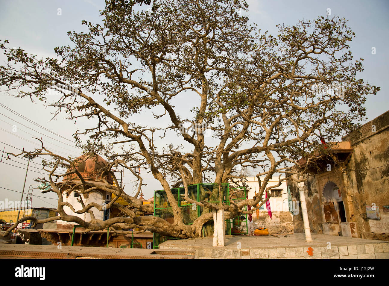 Chir hi-res stock photography and images - Alamy