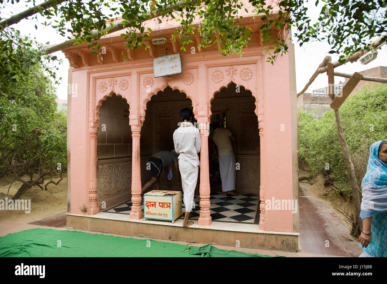 Nidhivan hi-res stock photography and images - Alamy