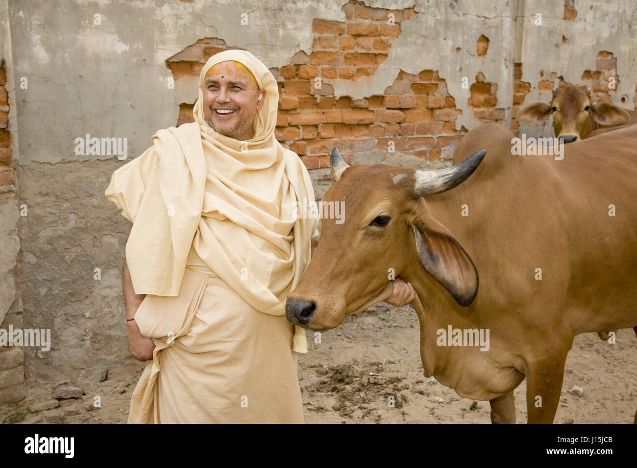 Swami shri gopal sharan devacharya ji maharaj with cow, uttar pradesh ...