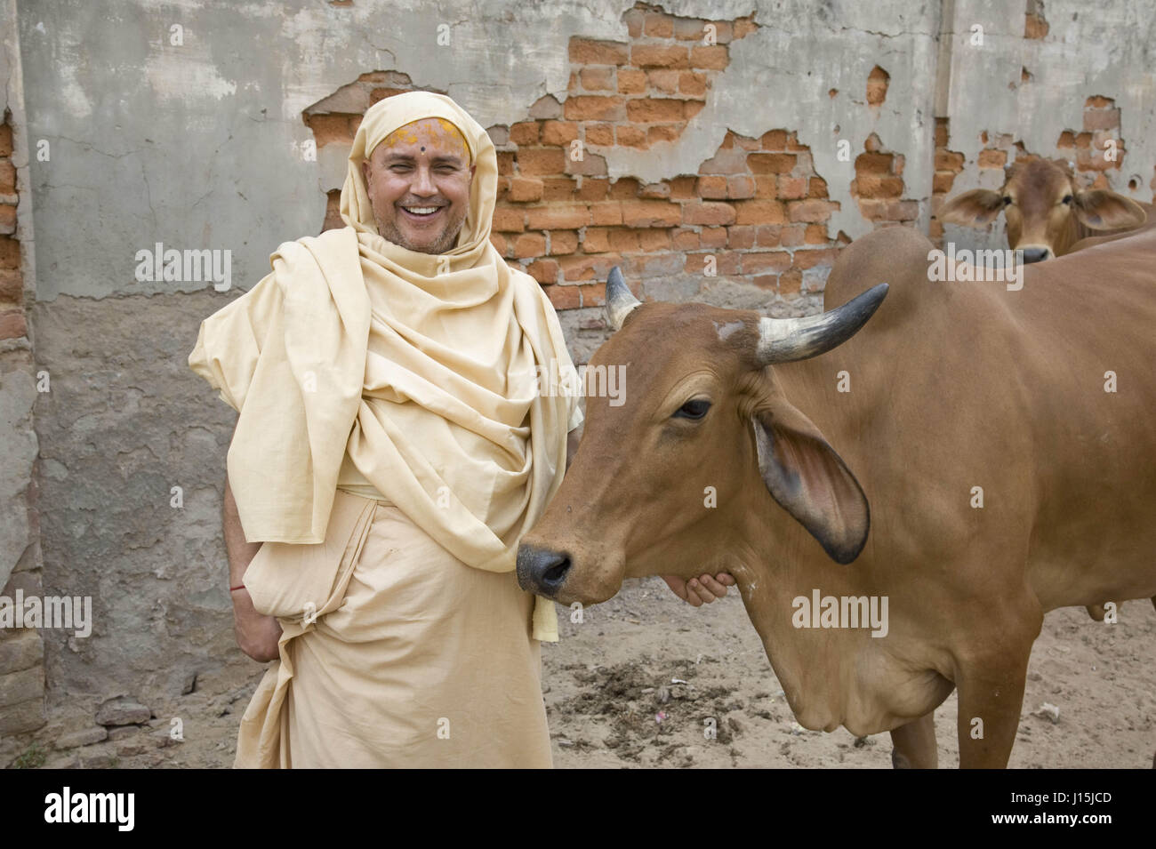 Swami shri gopal sharan devacharya ji maharaj with cow, uttar pradesh ...