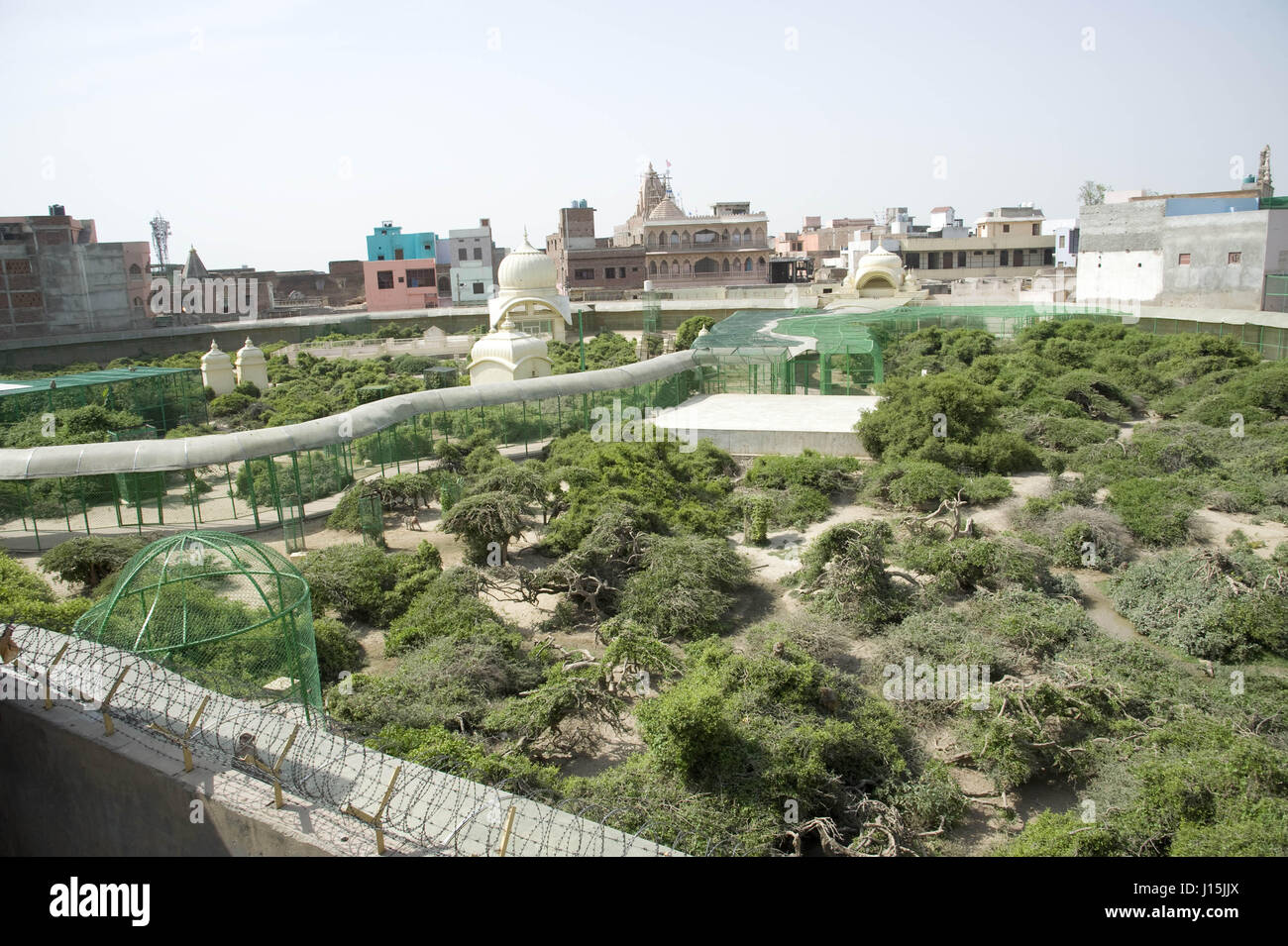Seva kunj, vrindavan, uttar pradesh, india, asia Stock Photo - Alamy
