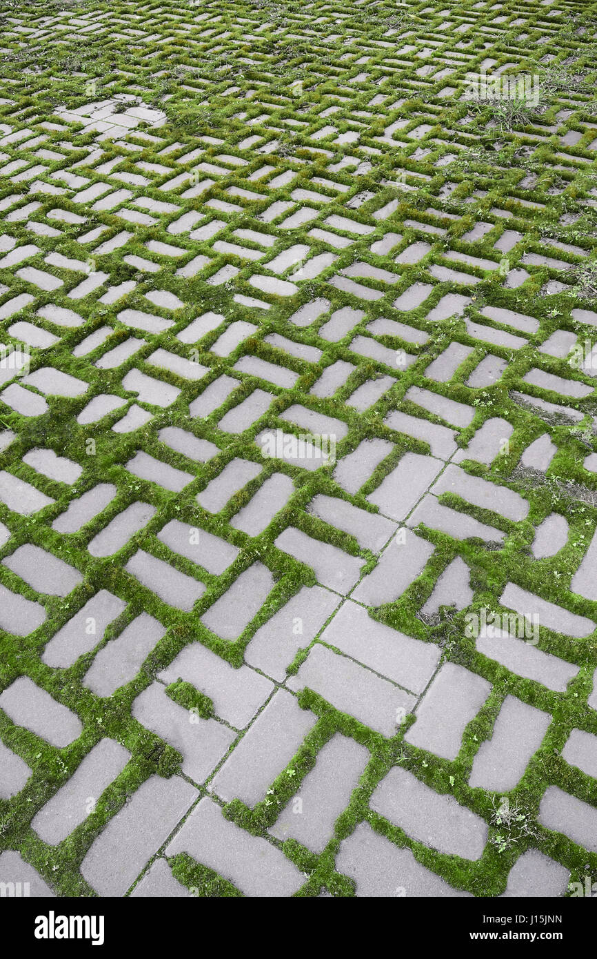 Grass paving pattern surface hi-res stock photography and images - Alamy