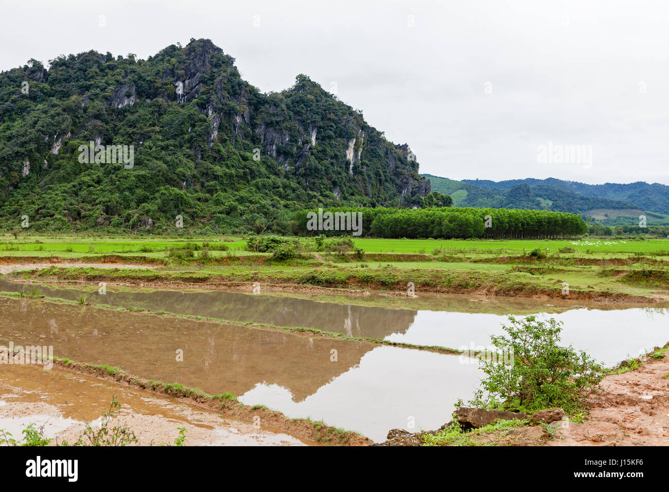 Vietnam countryside hi-res stock photography and images - Alamy