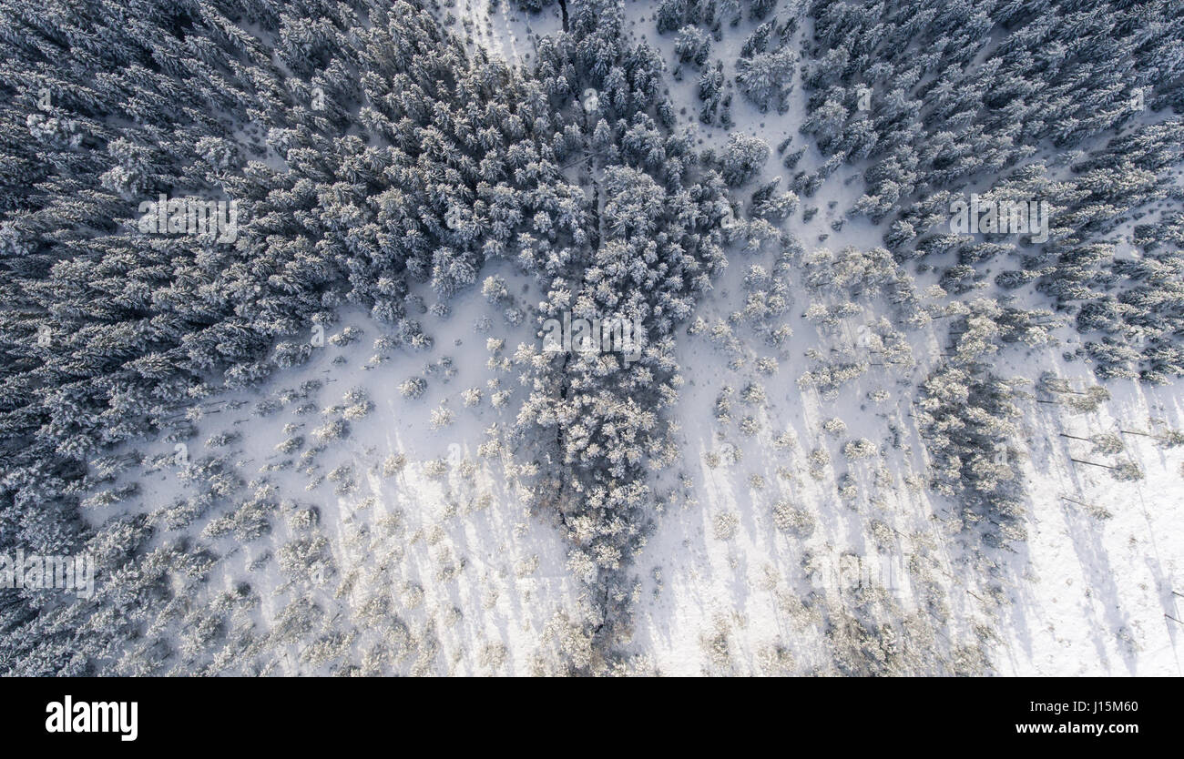 Ground aerial view hi-res stock photography and images - Alamy