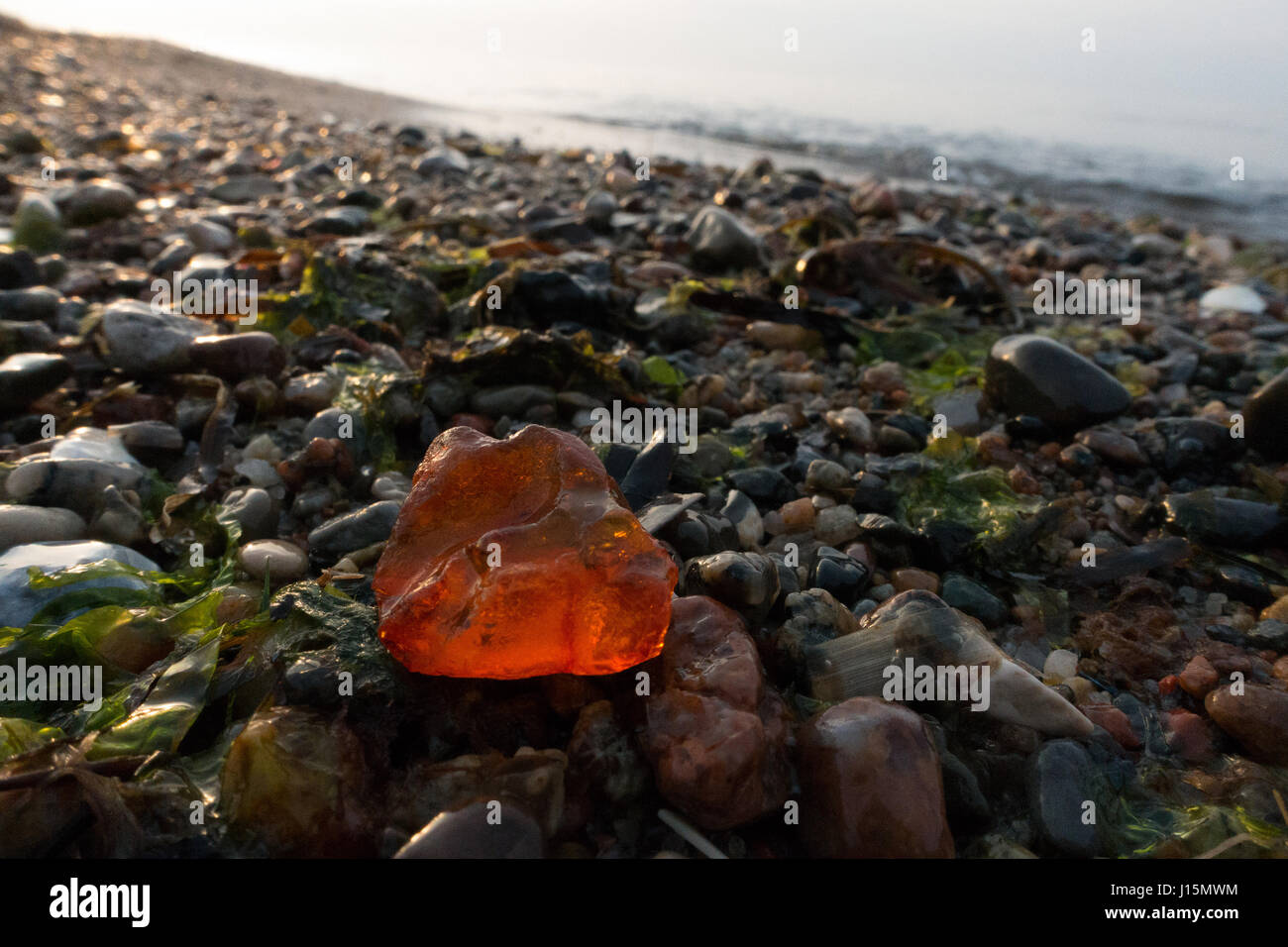amber stones baltic sea germany Stock Photo - Alamy
