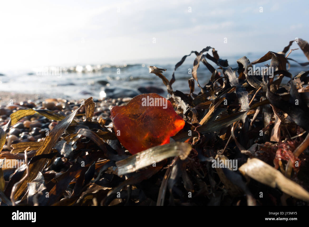 amber stones baltic sea germany Stock Photo - Alamy