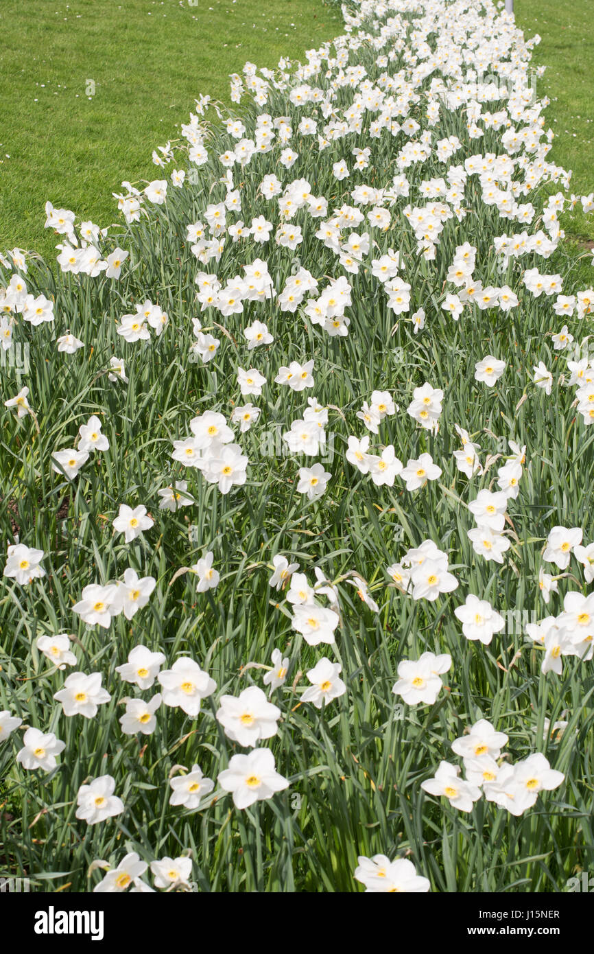 Planting swathe hi-res stock photography and images - Alamy