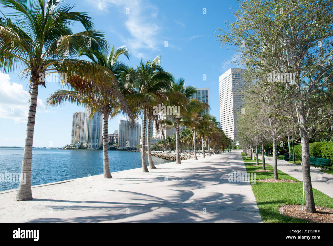 The park walkway along the water in Miami downtown (Florida Stock Photo ...