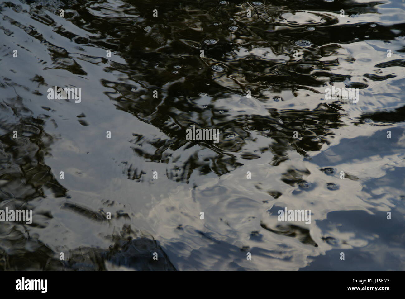 Water reflections on rocks and water reflection forest trees Stock ...