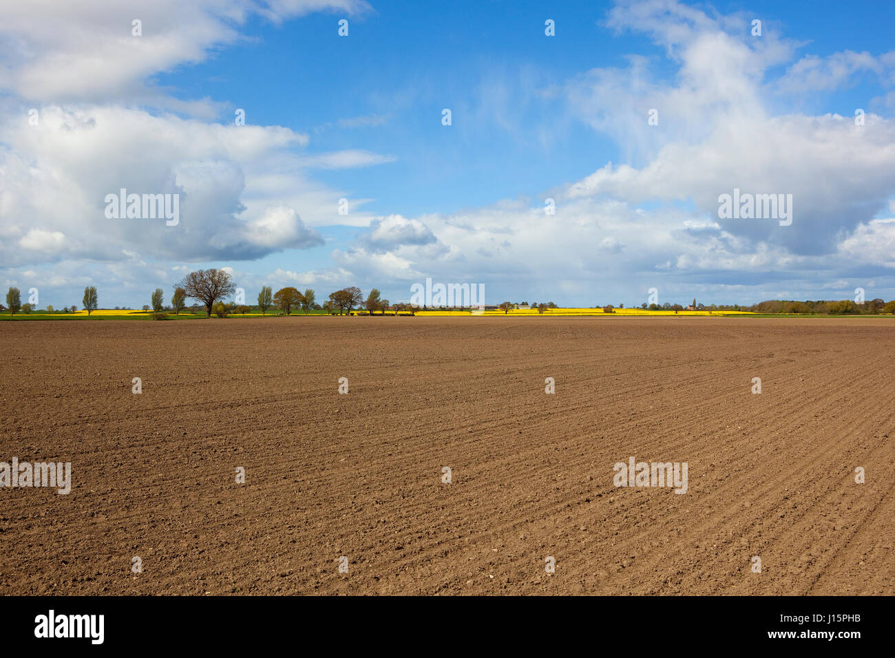 a flat agricultural landscape with lines and patterns in plowed soil in ...