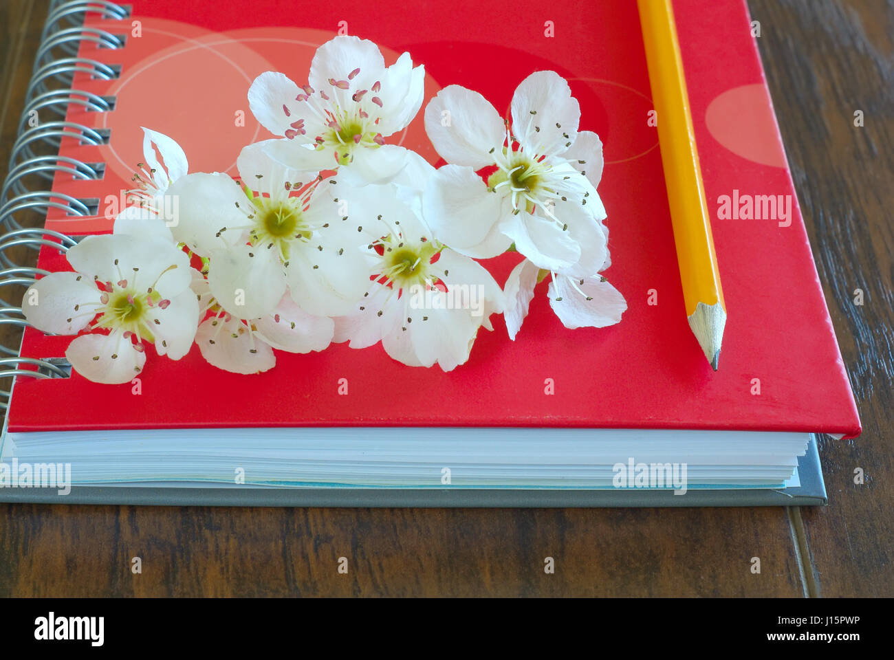 Romantic letter diary. Spring blossom on notebook with pencil love ...