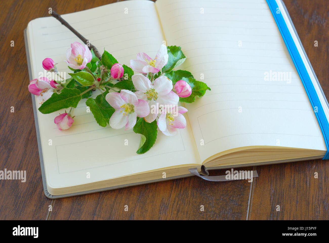 Diary Page Design Blank