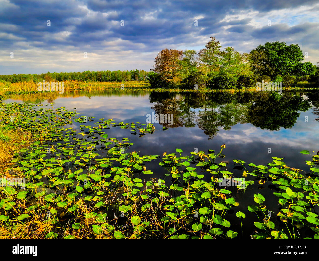 Wilderness waterway fishing florida hi-res stock photography and images ...