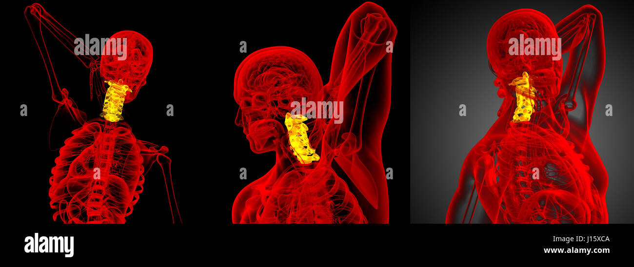 3d rendering medical illustration of the cervical spine Stock Photo - Alamy