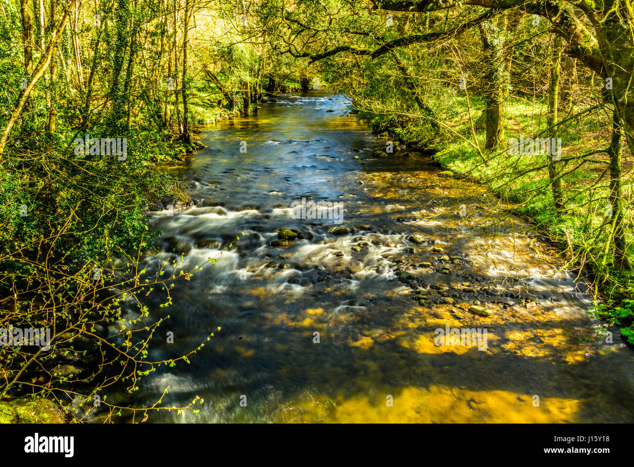 Views along the upper reaches of River Plym and River Meavy on Dartmoor ...