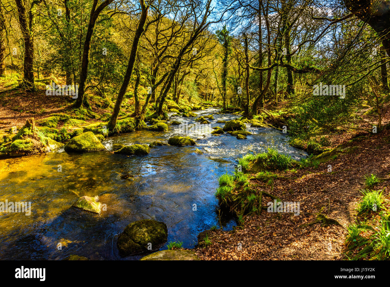 Views along the upper reaches of River Plym and River Meavy on Dartmoor ...