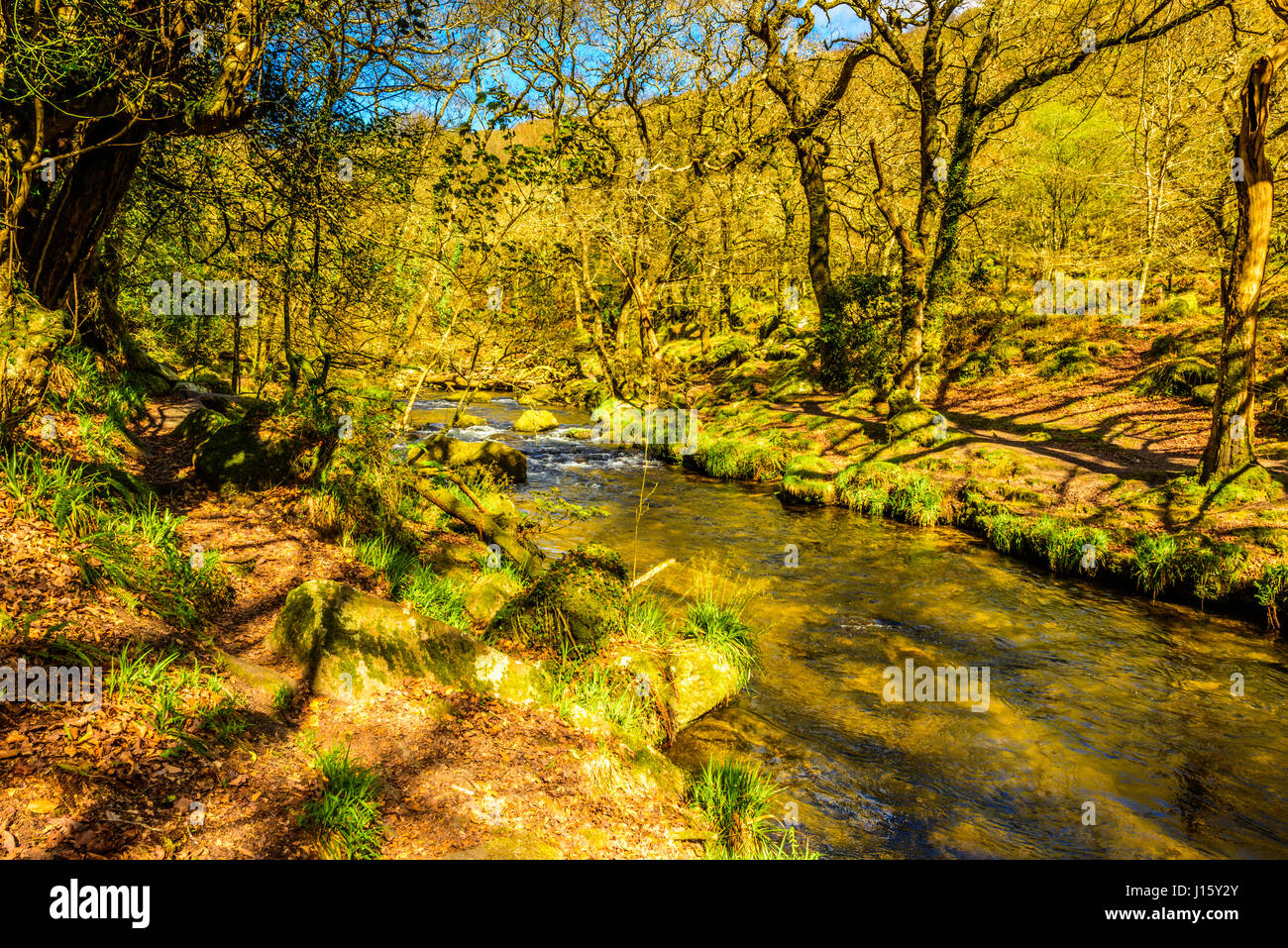 Views along the upper reaches of River Plym and River Meavy on Dartmoor ...