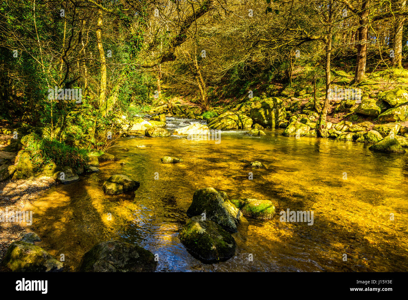 Views along the upper reaches of River Plym and River Meavy on Dartmoor ...