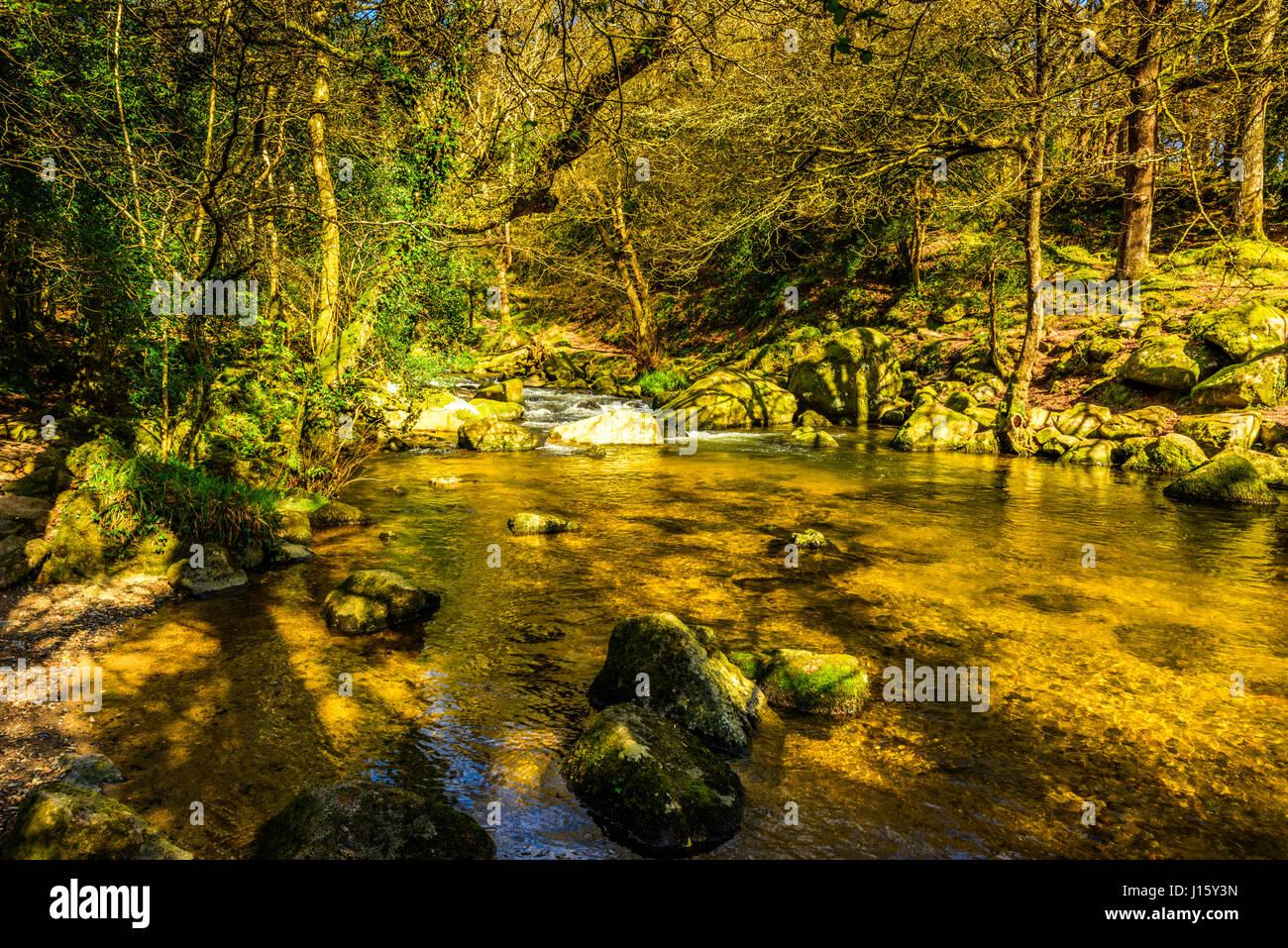 Views along the upper reaches of River Plym and River Meavy on Dartmoor ...
