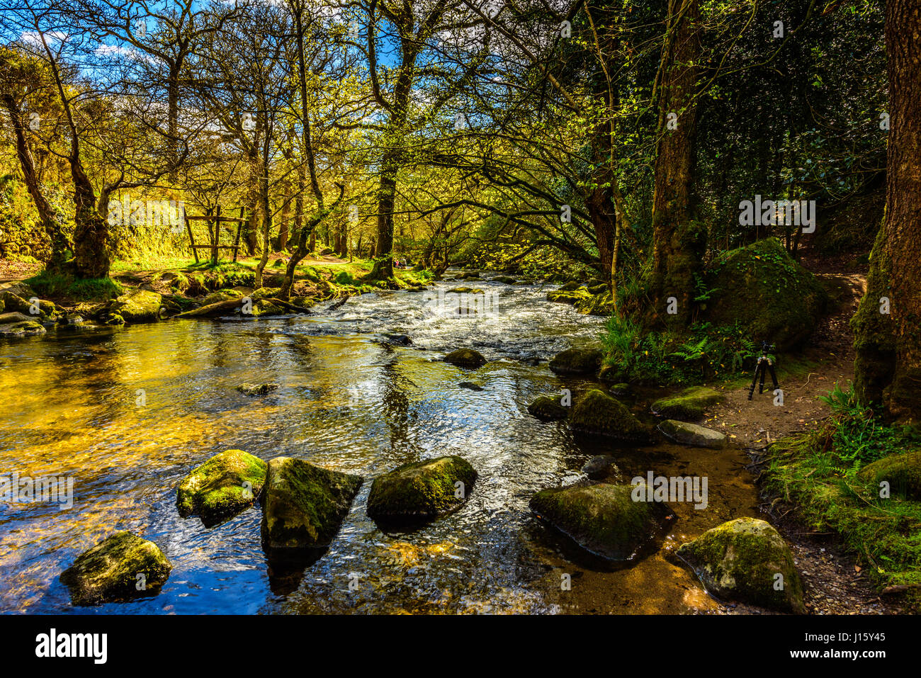 Views along the upper reaches of River Plym and River Meavy on Dartmoor ...