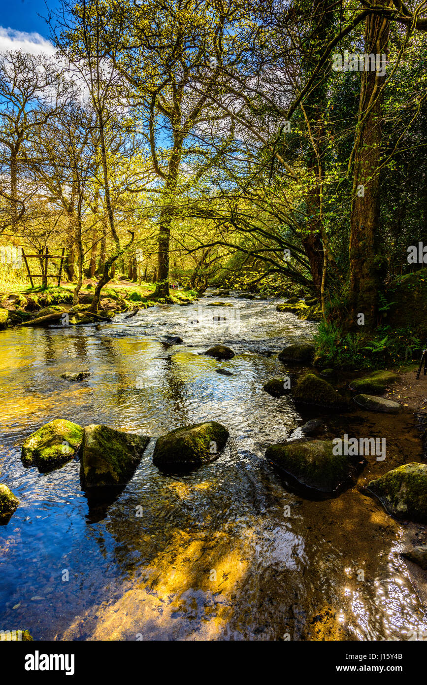 Views along the upper reaches of River Plym and River Meavy on Dartmoor ...