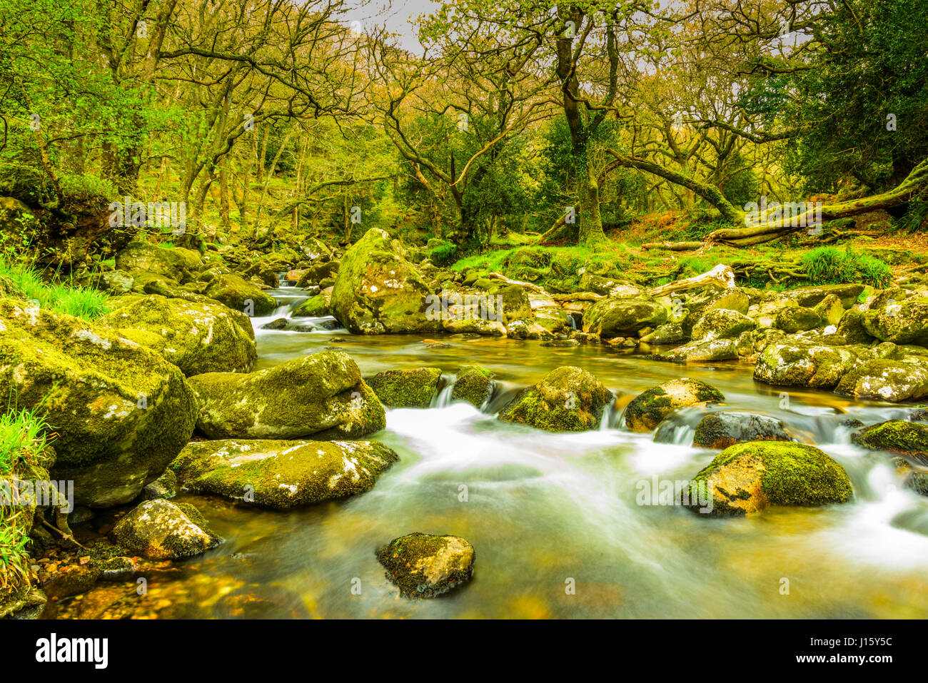 Views along the upper reaches of River Plym and River Meavy on Dartmoor ...