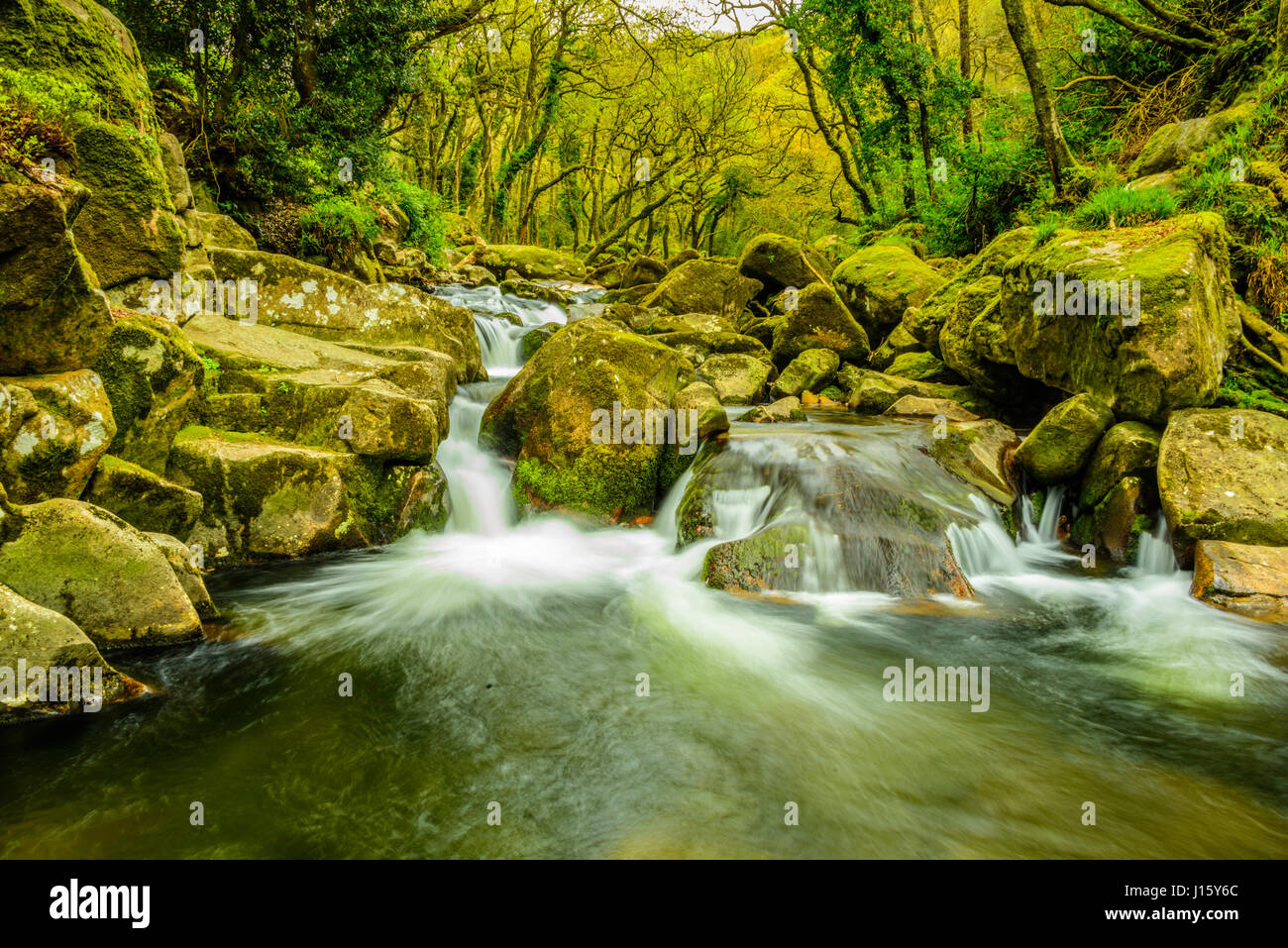 Views along the upper reaches of River Plym and River Meavy on Dartmoor ...