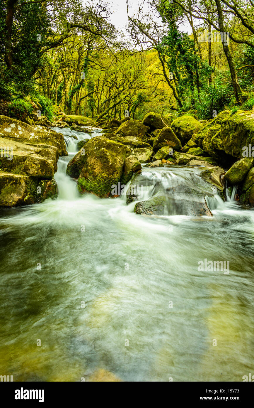 Views along the upper reaches of River Plym and River Meavy on Dartmoor ...