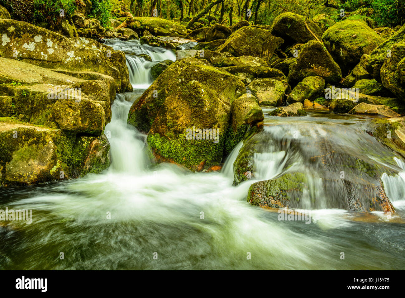 Views along the upper reaches of River Plym and River Meavy on Dartmoor ...