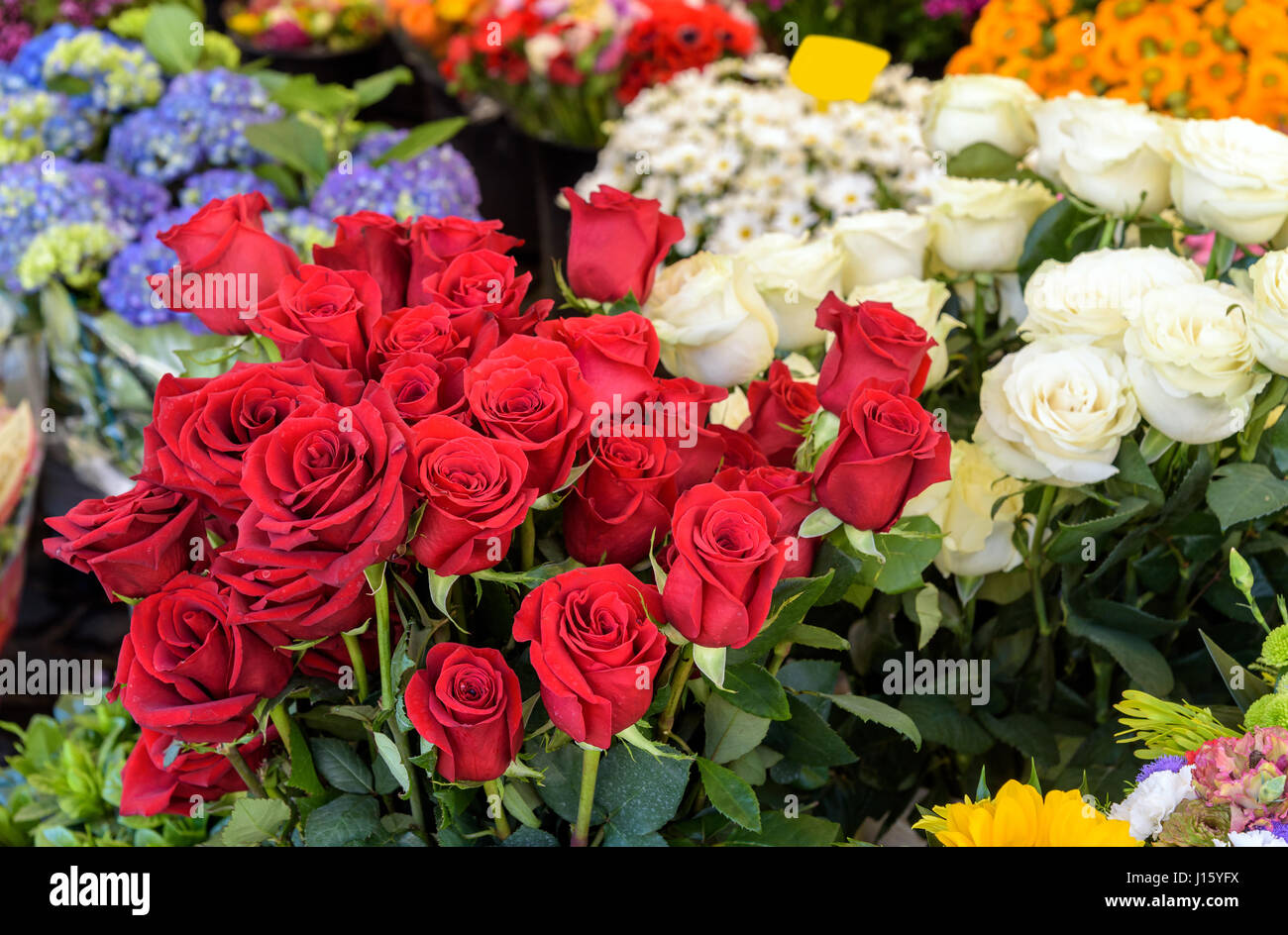 red roses at flowers market Stock Photo - Alamy