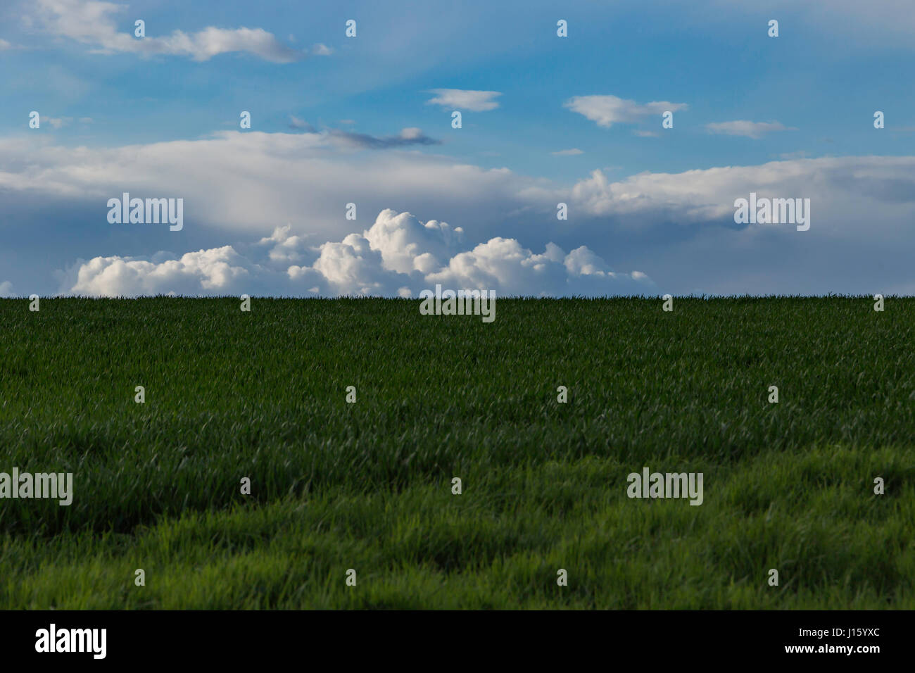 Clouds in Spring Stock Photo - Alamy
