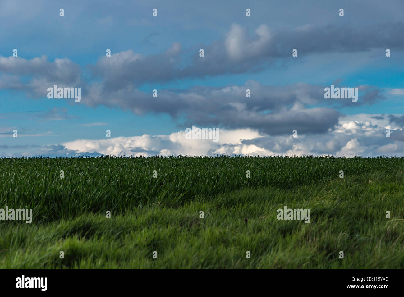 Clouds in Spring Stock Photo - Alamy