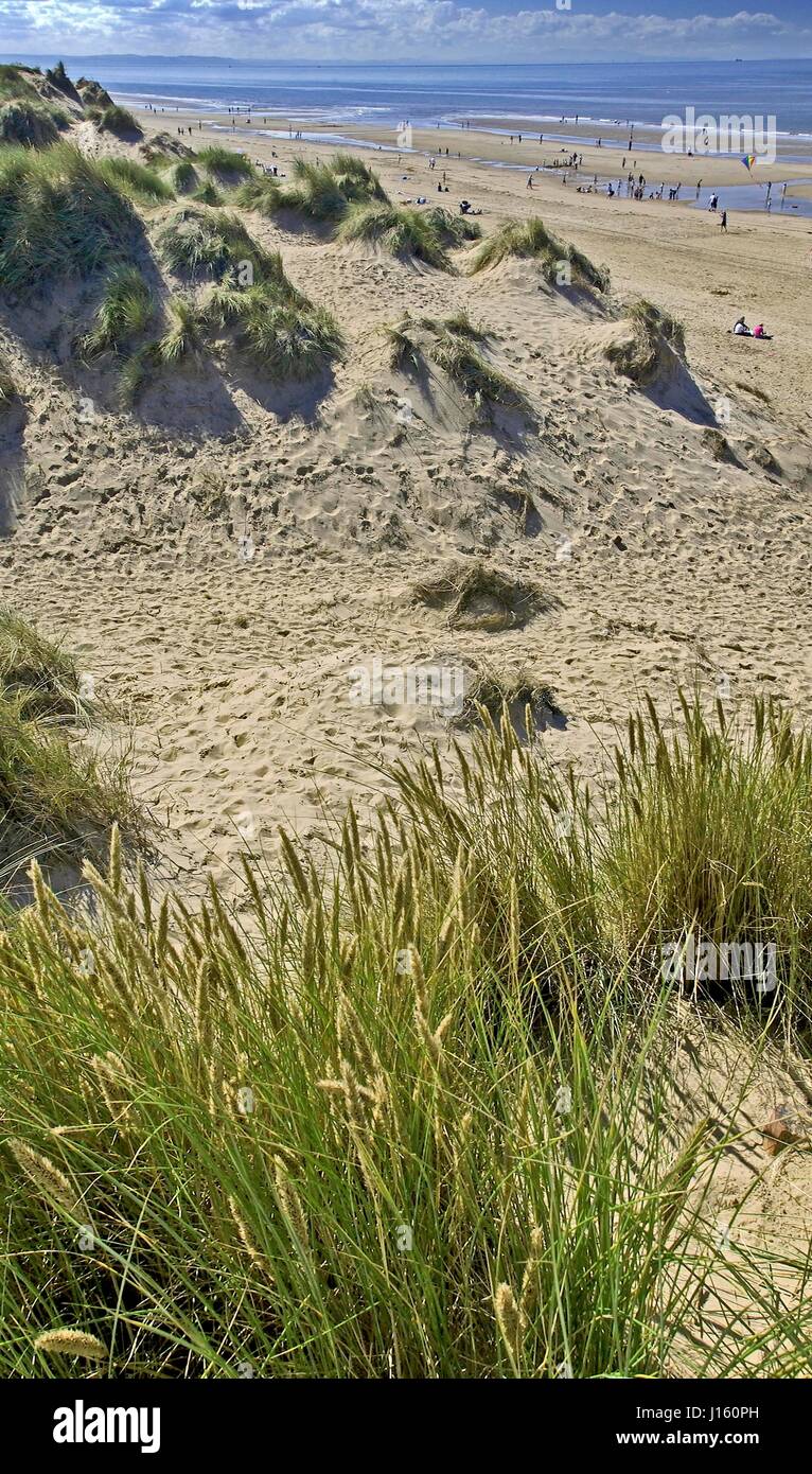 Maram hi-res stock photography and images - Alamy