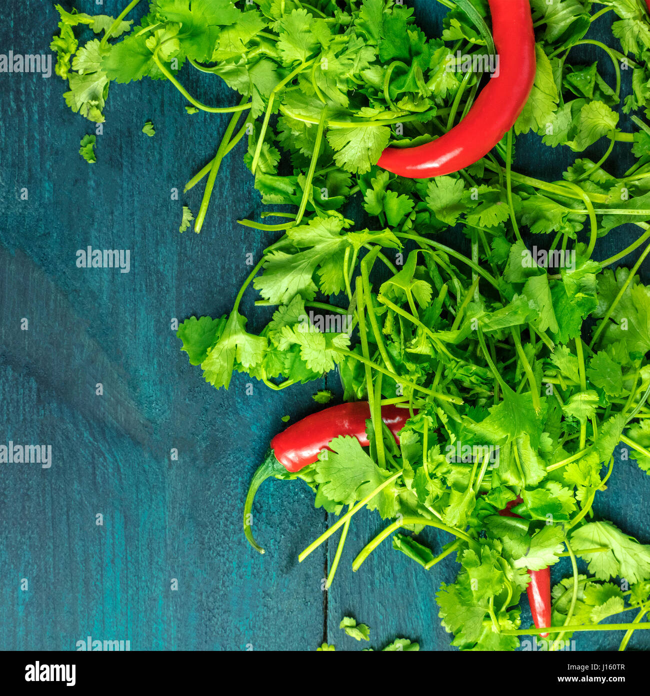 A square photo of red hot chili peppers and cilantro leaves, shot from ...