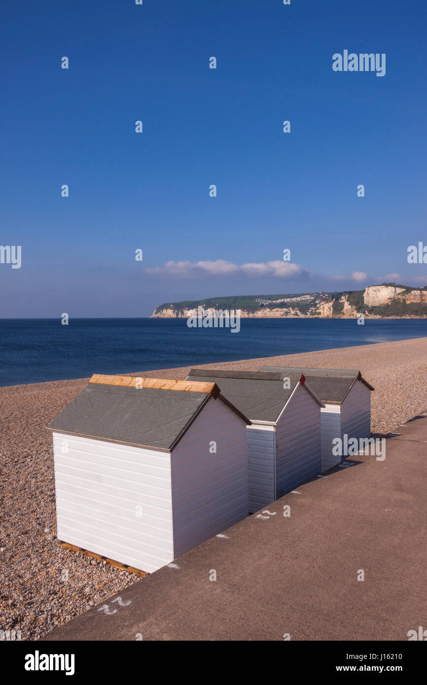 Seaton. Beach huts on Seaton seafront, with a blue sky above, empty ...