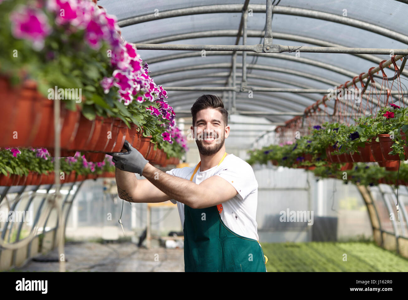 Worker in garden store hi-res stock photography and images - Alamy