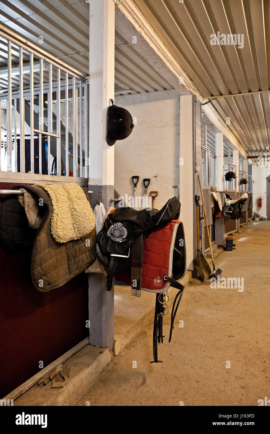 Stallgang hi-res stock photography and images - Alamy